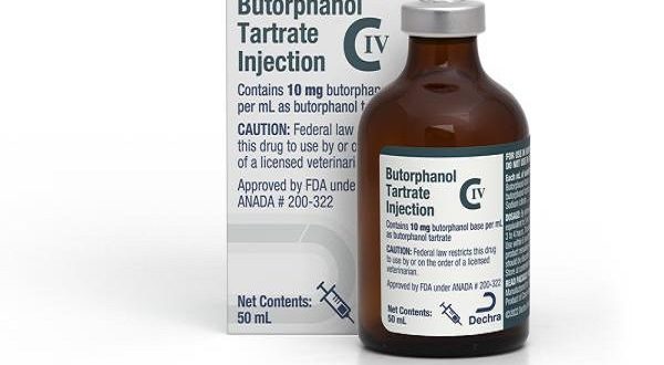 Thuốc Butorphanol là gì? Thành phần, liều dùng và tác dụng