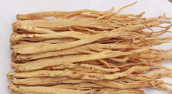 Những bài thuốc Đông y chữa bệnh hiệu quả từ Sâm tô ẩm